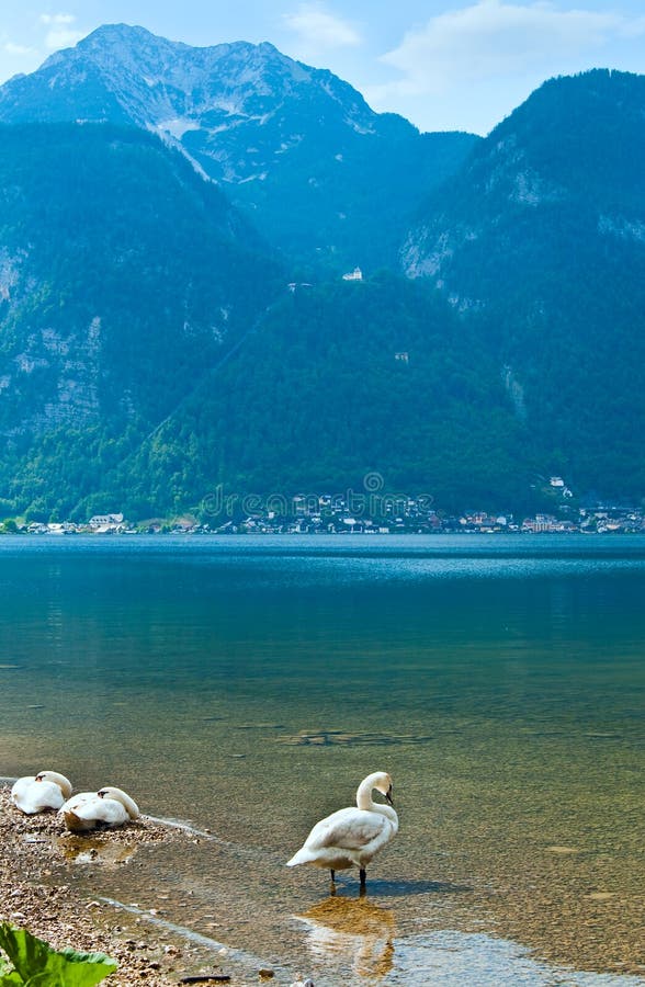 Alpine summer lake view stock photo. Image of austria - 22630946