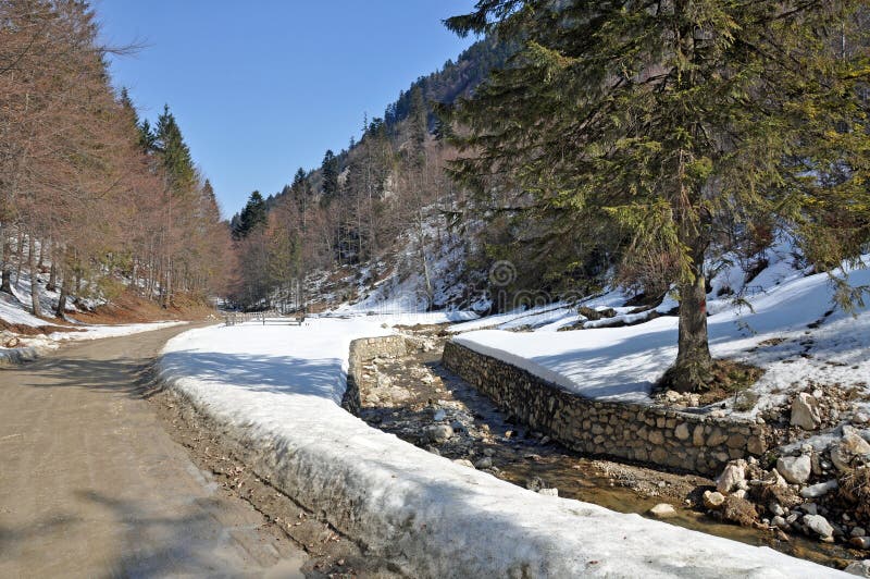 Alpine sunny way stock photo. Image of exploration, frosted - 23938184