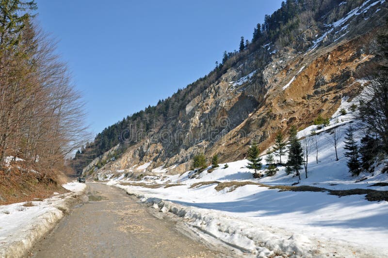 Alpine sunny way stock image. Image of landscape, forest - 23938367