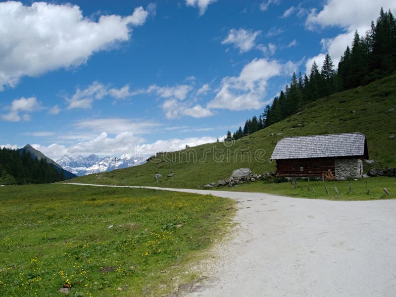Alpine topic stock image. Image of grass, environment - 42366165