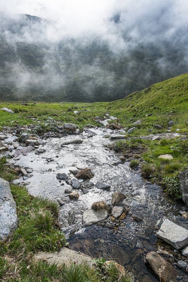 Alpine Torrent Flowing in a the Rocks Stock Image - Image of water ...