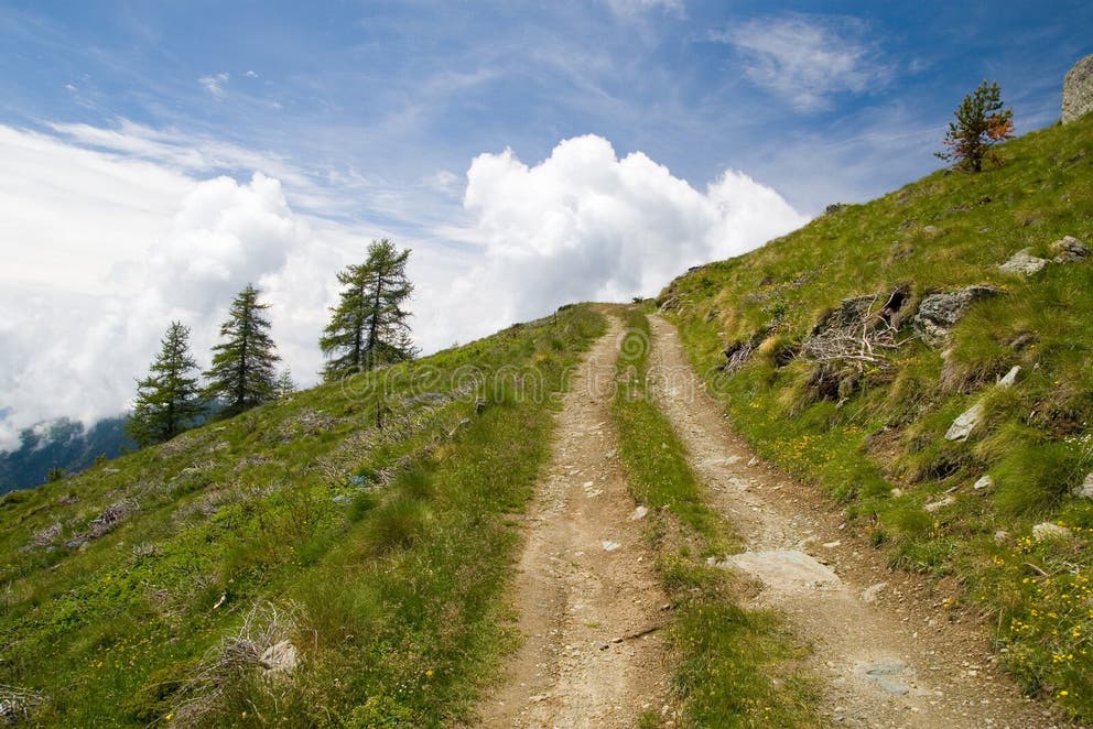 Alpine track stock photo. Image of loneliness, byway, farm - 2619666