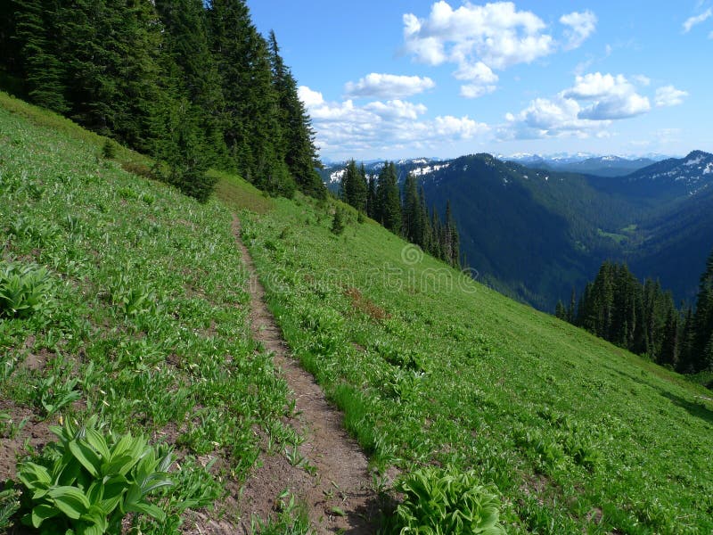 Alpine trail stock image. Image of alpine, johnson, ridge - 16710419