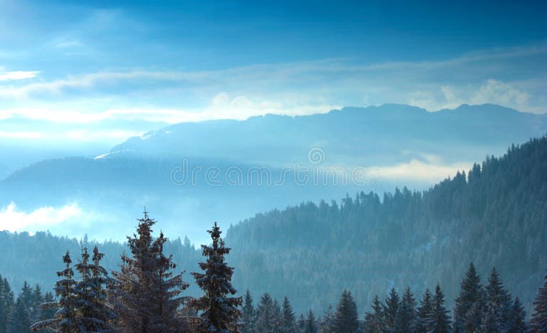 6,347 Alpine Tree Silhouette Stock Photos - Free & Royalty-Free Stock ...