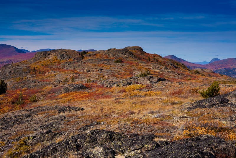 Alpine tundra stock photo. Image of mountains, green - 17149436