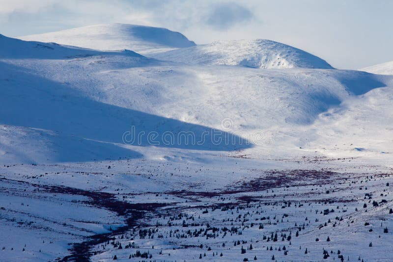 Alpine tundra in winter stock image. Image of rural, natural - 18295445