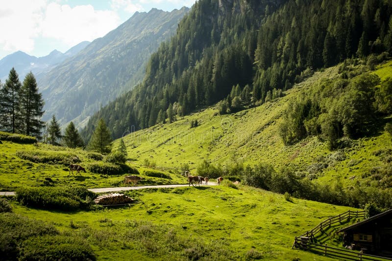 Alpine valley stock photo. Image of panorama, lake, clouds - 26691726