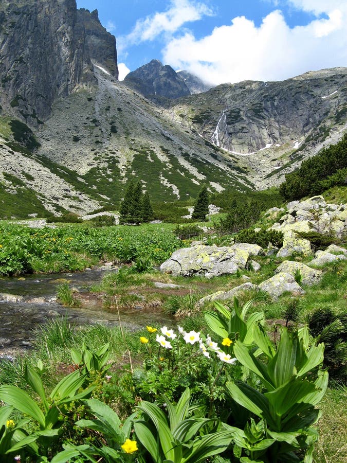 Alpine valley stock image. Image of mountain, plant, outside - 28549595