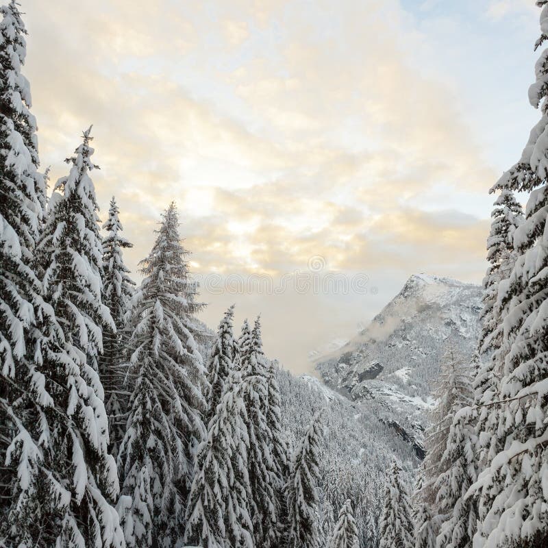Alpine valley with snow stock image. Image of fresh - 170836283