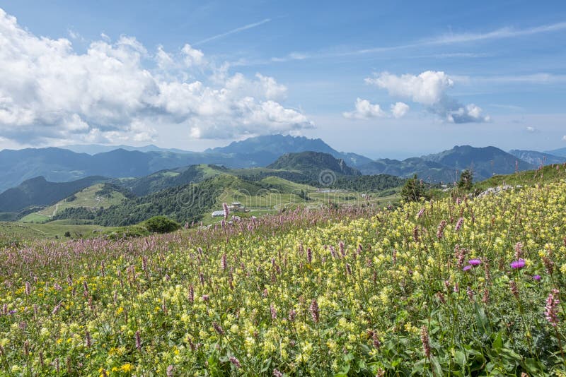 Alpine valley stock image. Image of spring, mountain - 43283799