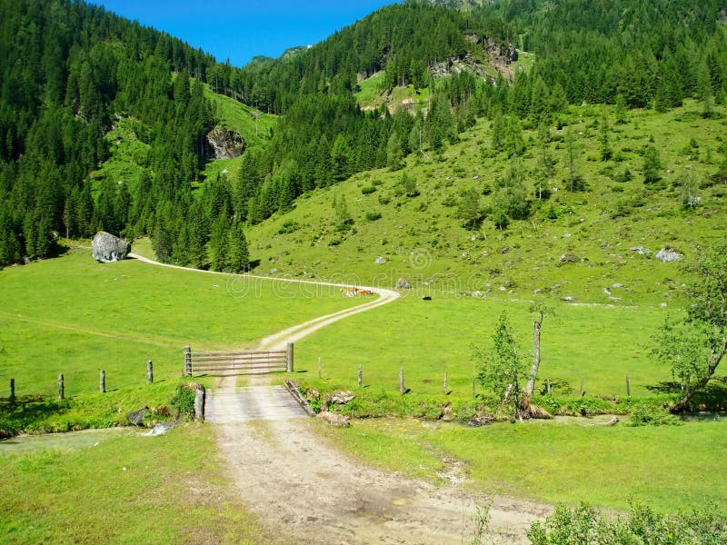 Alpine valley stock photo. Image of trail, mountain - 376923278