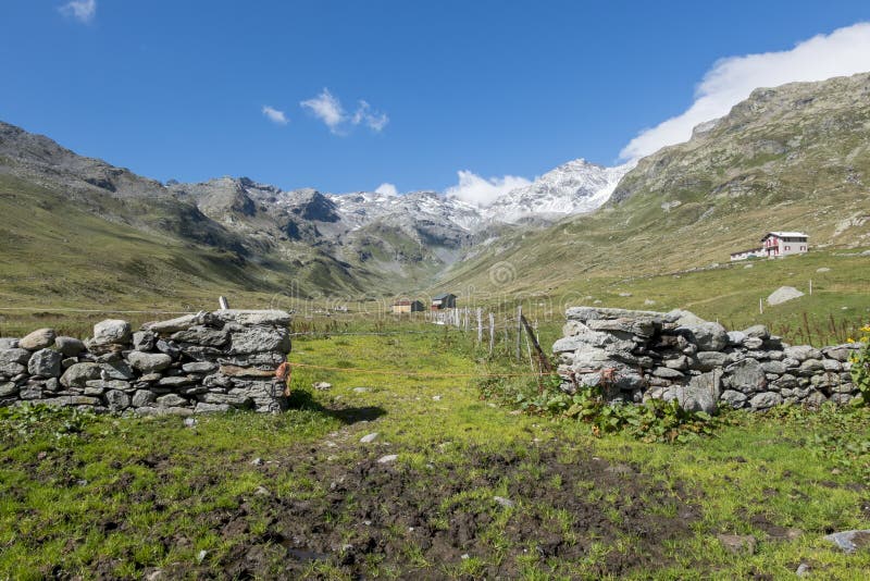 Alpine valley stock photo. Image of pasture, alpine, nature - 44306554
