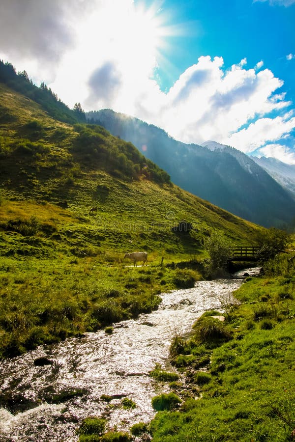 Alpine Valley with River and Mountains Stock Photo - Image of holiday ...