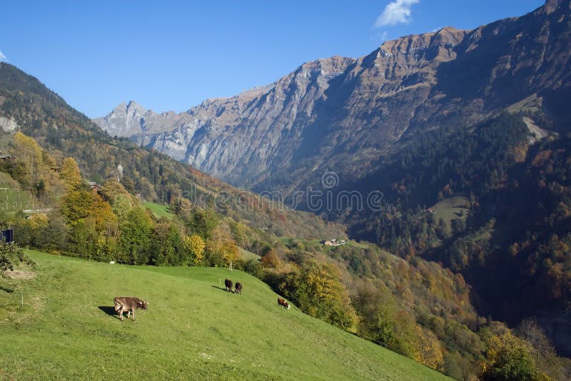 Alpine view stock photo. Image of nature, rock, picturesque - 5816086