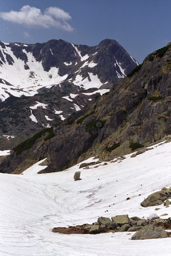 Alpine View Picture. Image: 9953858