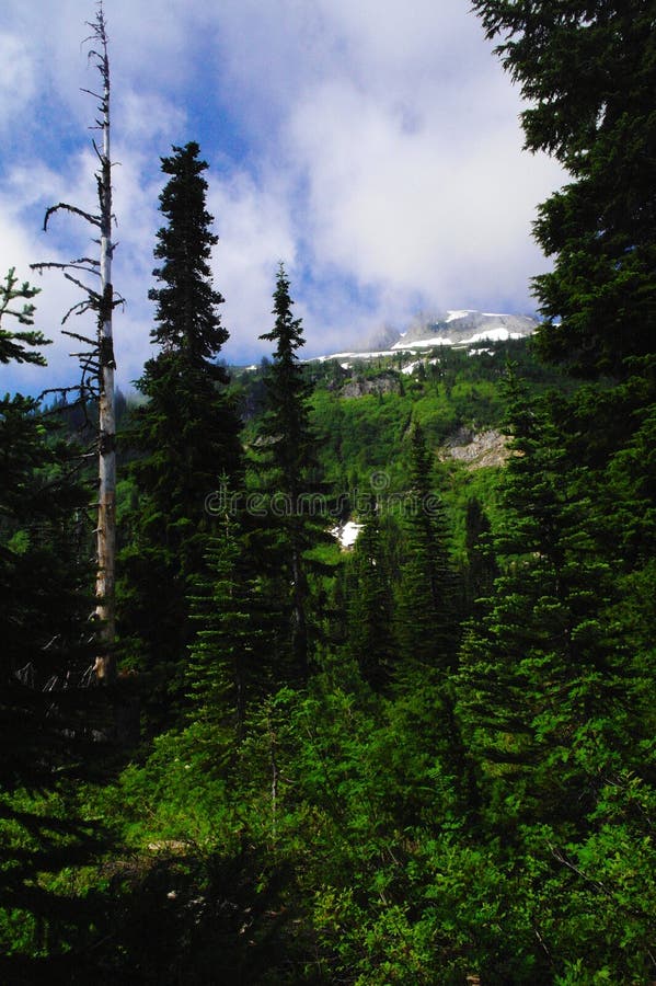 An alpine view stock photo. Image of forest, clouds, mountans - 56289394