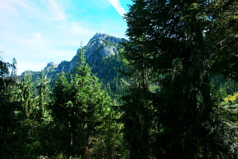 An alpine view stock photo. Image of meadows, packing - 79341962