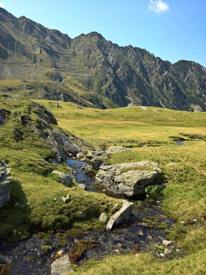 Alpine water stream stock image. Image of mount, meadow - 101726499