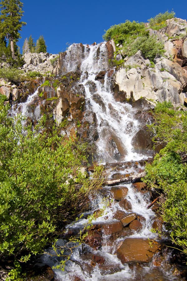 Alpine Waterfall stock photo. Image of plant, refreshing - 20632750