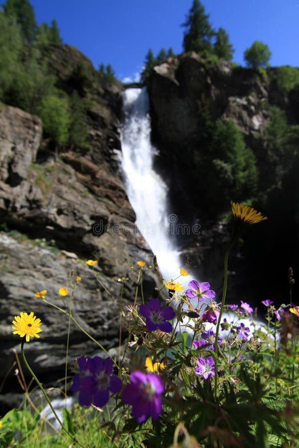 Alpine waterfall stock photo. Image of forest, land - 101079144