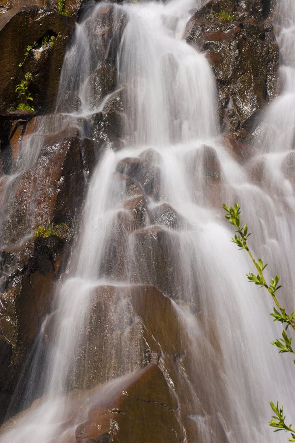 Alpine Waterfall in Mountain Forest Stock Image - Image of green ...
