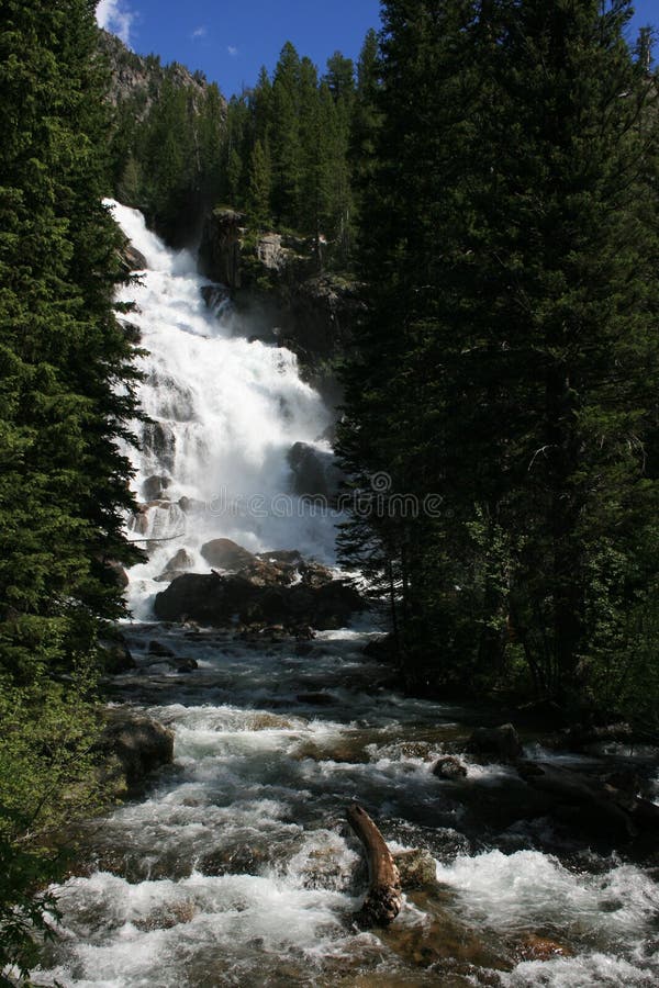 Alpine Waterfall stock image. Image of raging, park, pines - 50271573
