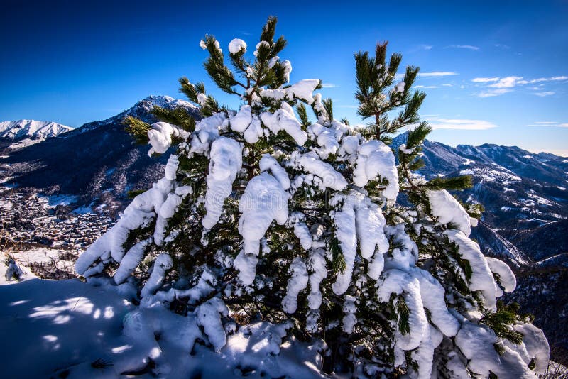 Alpine winter landscape stock image. Image of tree, view - 60488183