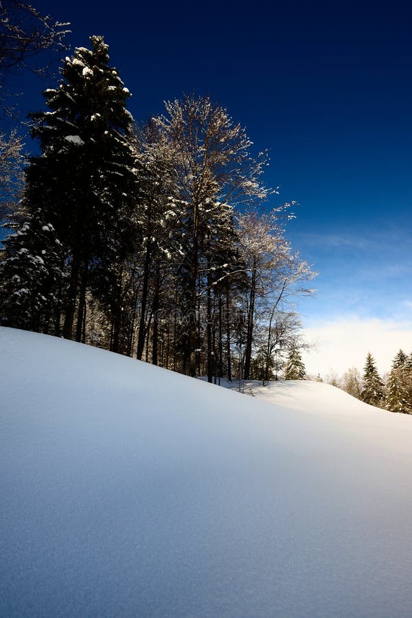 Alpine Winter Scenery - Freezing Stock Image - Image of firs ...