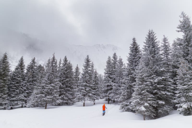 Alpine Winter Scenery, with Fresh Snow and Mist, on a Bright Day Stock ...