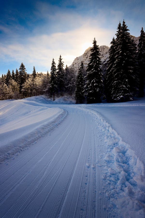 Alpine Winter Scenery - Trail Stock Image - Image of alps, winter: 38441947