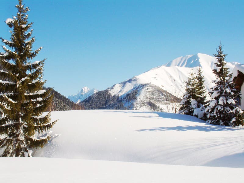 Alpine Winter Snow scene stock photo. Image of solitude - 56360