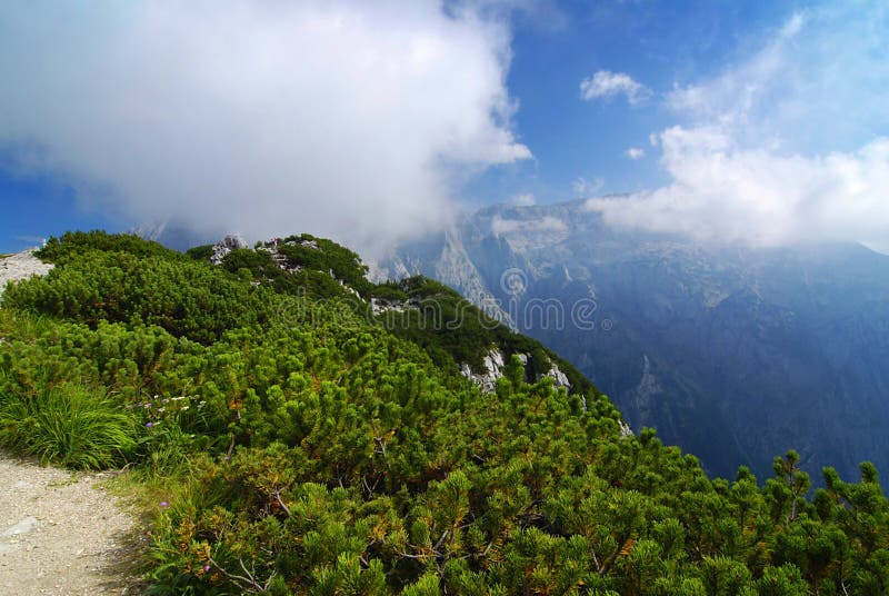 Alps stock image. Image of stone, natural, rock, spring - 11597765