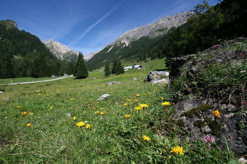 Alps Scene stock photo. Image of blue, alps, swiss, meadow - 863122