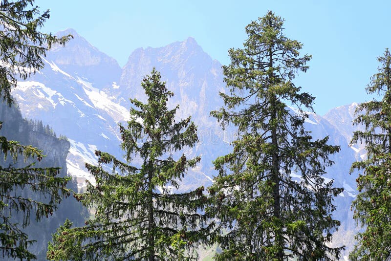 Alps stock image. Image of climbing, snow, precipice - 60856705