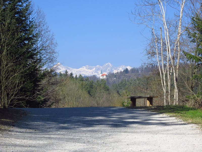 Alps with Church and Forest in Front Stock Photo - Image of alpine ...