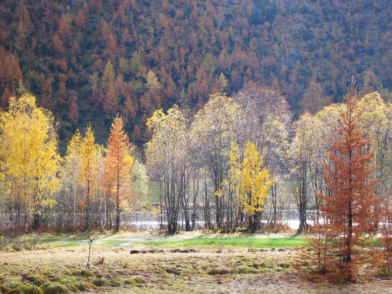 Alps in fall stock image. Image of mountains, italy, tourism - 2427479