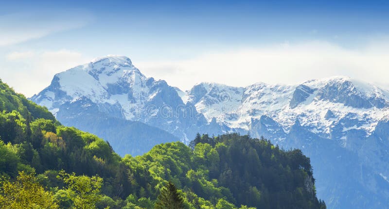 Alps of Germany and Austria. Summer Scene Stock Image - Image of season ...