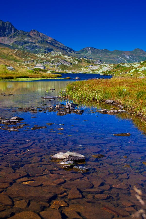 Alps lake with swan stock photo. Image of tranquil, rural - 14120910