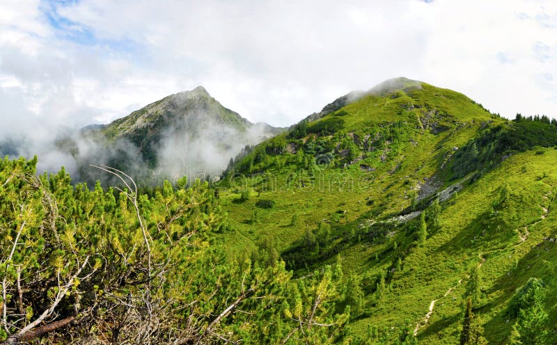 Alps nature stock photo. Image of meadow, panoramic, alpine - 35410542
