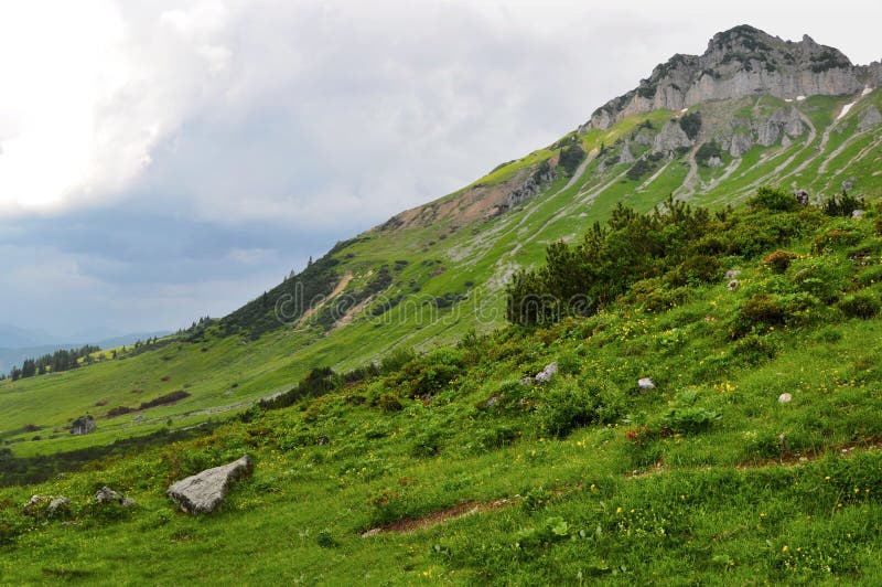 Alps nature stock photo. Image of forest, blue, alps - 35410550