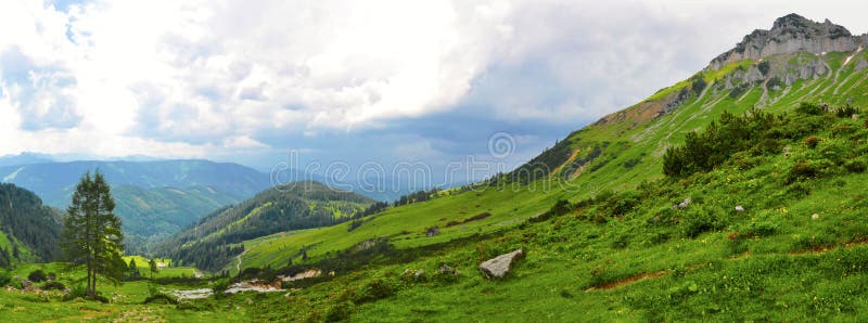 Alps nature stock photo. Image of scene, travel, forest - 35410652