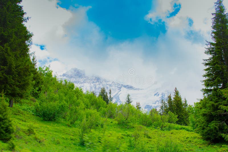 Alps in the Spring, Switzerland Stock Photo - Image of mountains, peaks ...