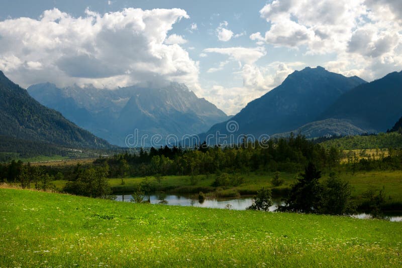 Alps at summer stock photo. Image of mountains, forest - 24719034
