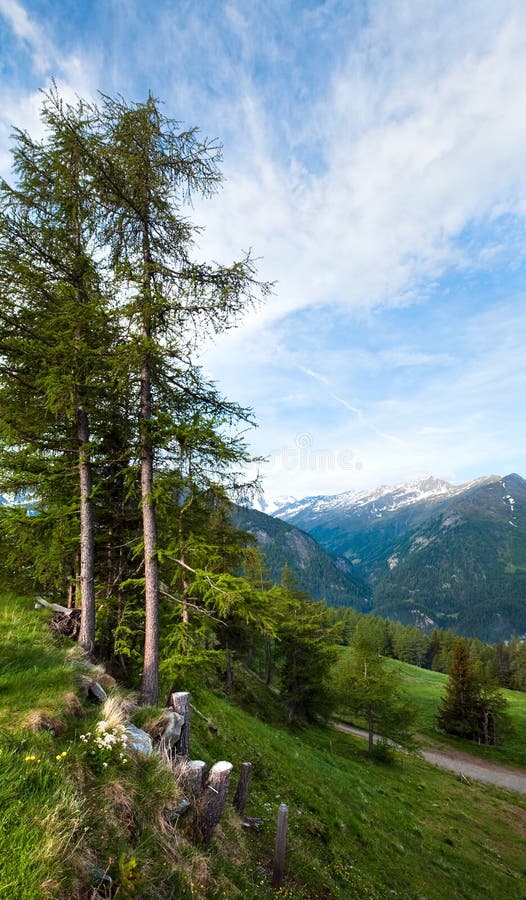 Alps summer view stock image. Image of range, tree, spring - 20324261