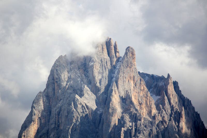Alps stock photo. Image of flora, bush, tops, grass - 101071728