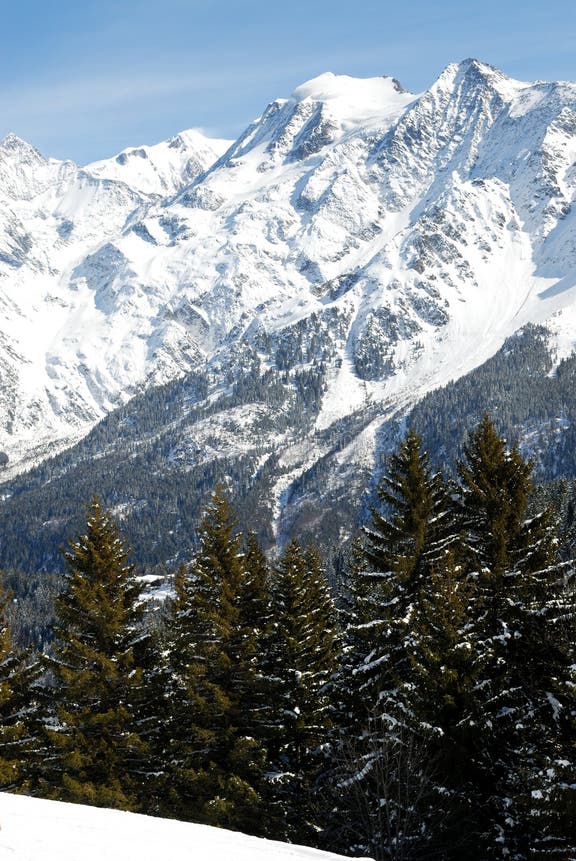 Alps in winter stock image. Image of altitude, high, needles - 21378477