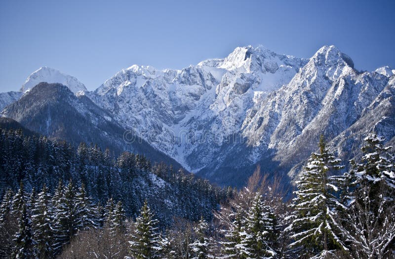 Alps in winter stock image. Image of glacier, freeze - 13921235