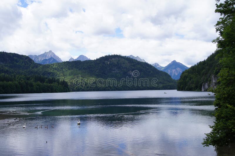 Alpsee Lake in Bavaria stock image. Image of ssen, alpsee - 58771837