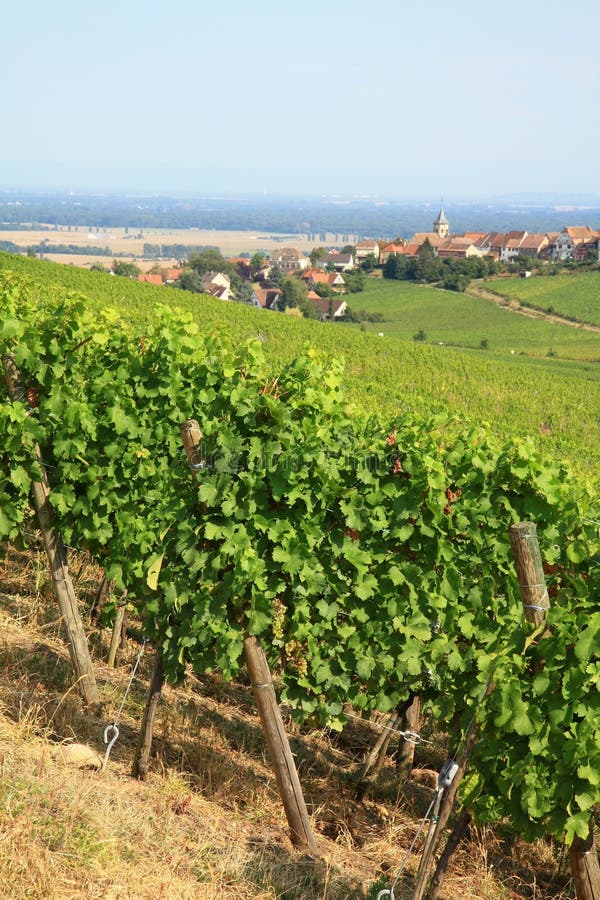 Alsace landscape stock photo. Image of alsatian, landscape - 26598528