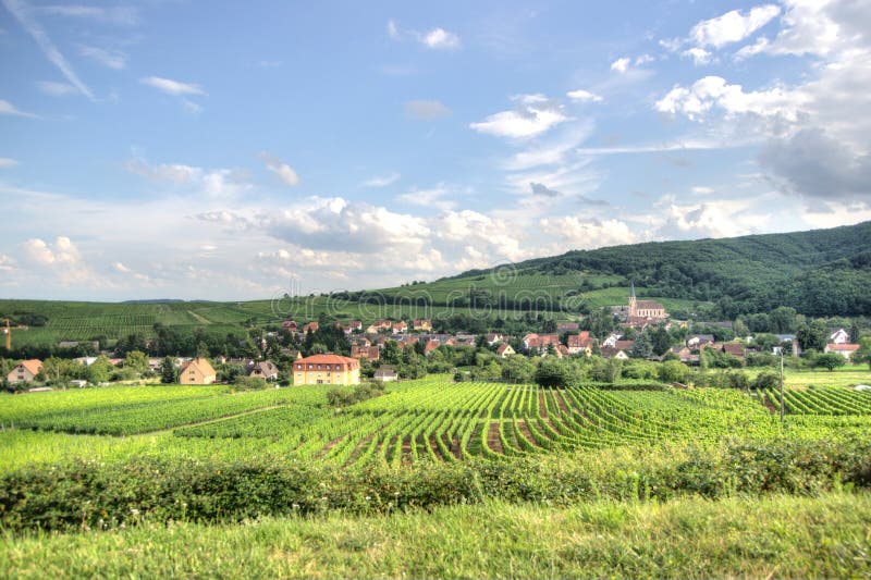 Alsace Landscape and Vinewyard Stock Image - Image of nature, hiking ...